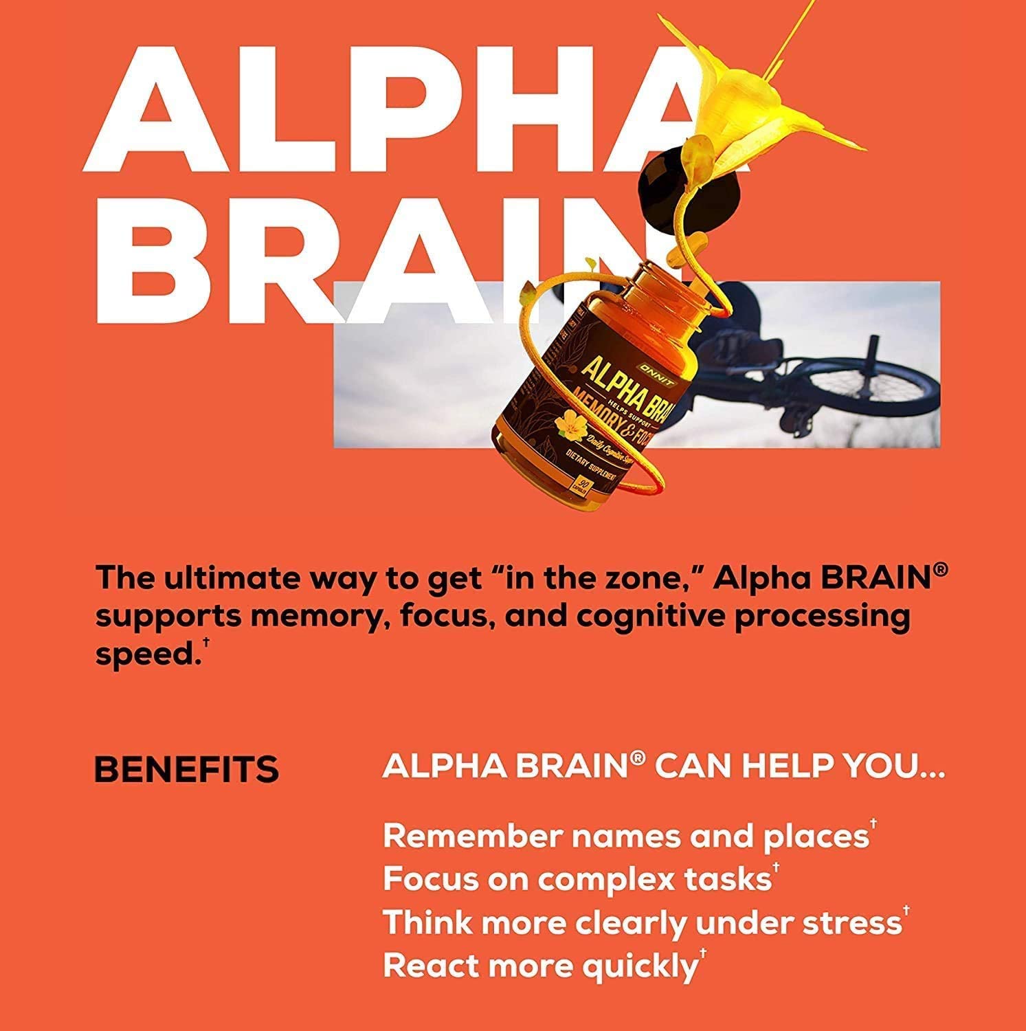 Alpha Brain Review | Does Alpha Brain Work | The Top Supplements