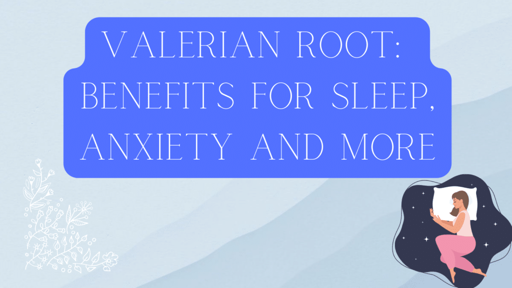 Valerian Roots: The Benefits for Anxiety, Sleep, and More – The Top ...